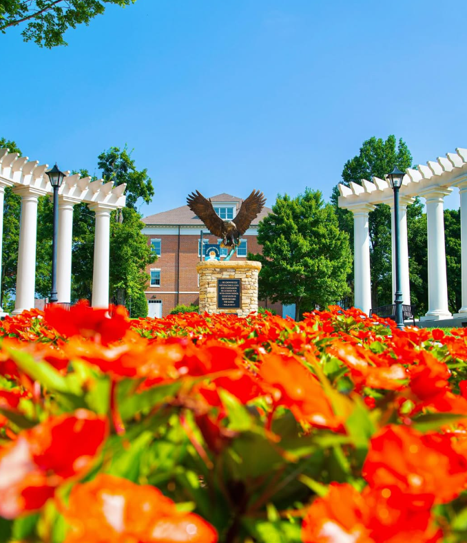 Carson-Newman University Catalog